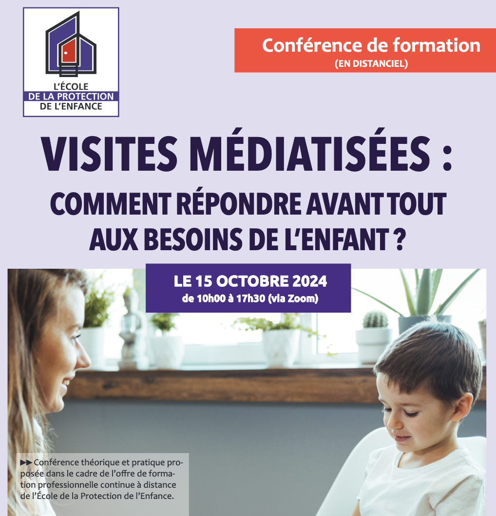 Les visites médiatisées: construire un dispositif de visites en ...